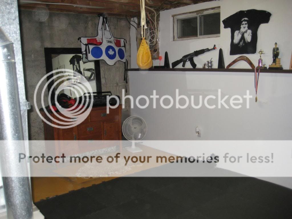 Building My Basement Dojo!!! | Sherdog Forums | UFC, MMA & Boxing ...